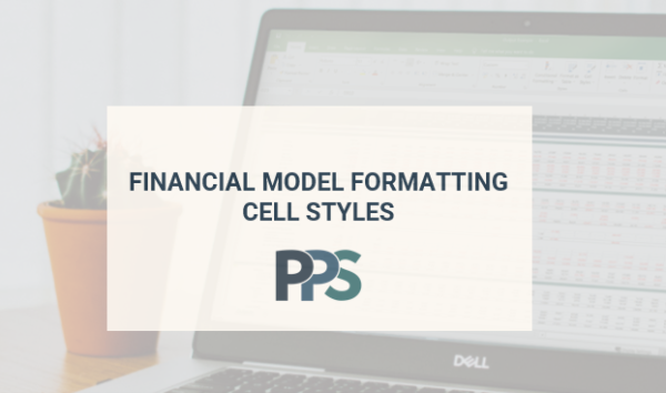 PPS Financial Modelling for Businesses